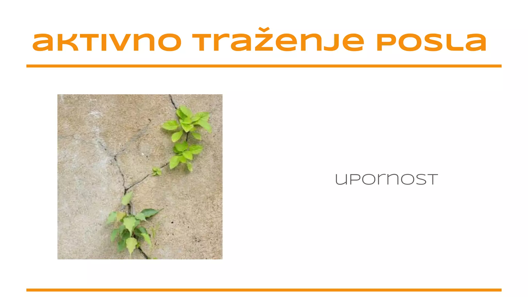 Aktivno traženje posla | PDF