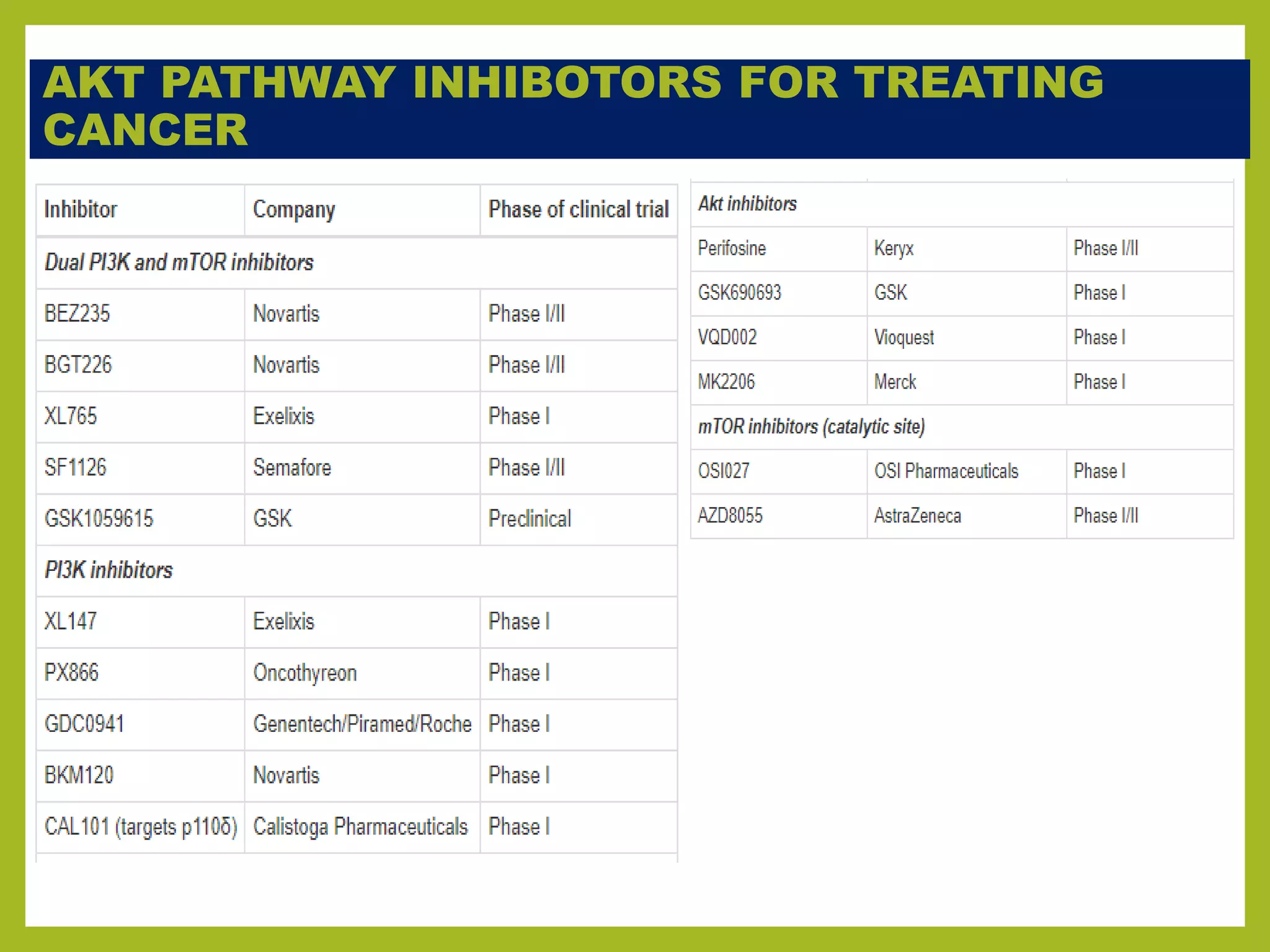 AKT/PKB SIGNALING PATHWAY | PPTX