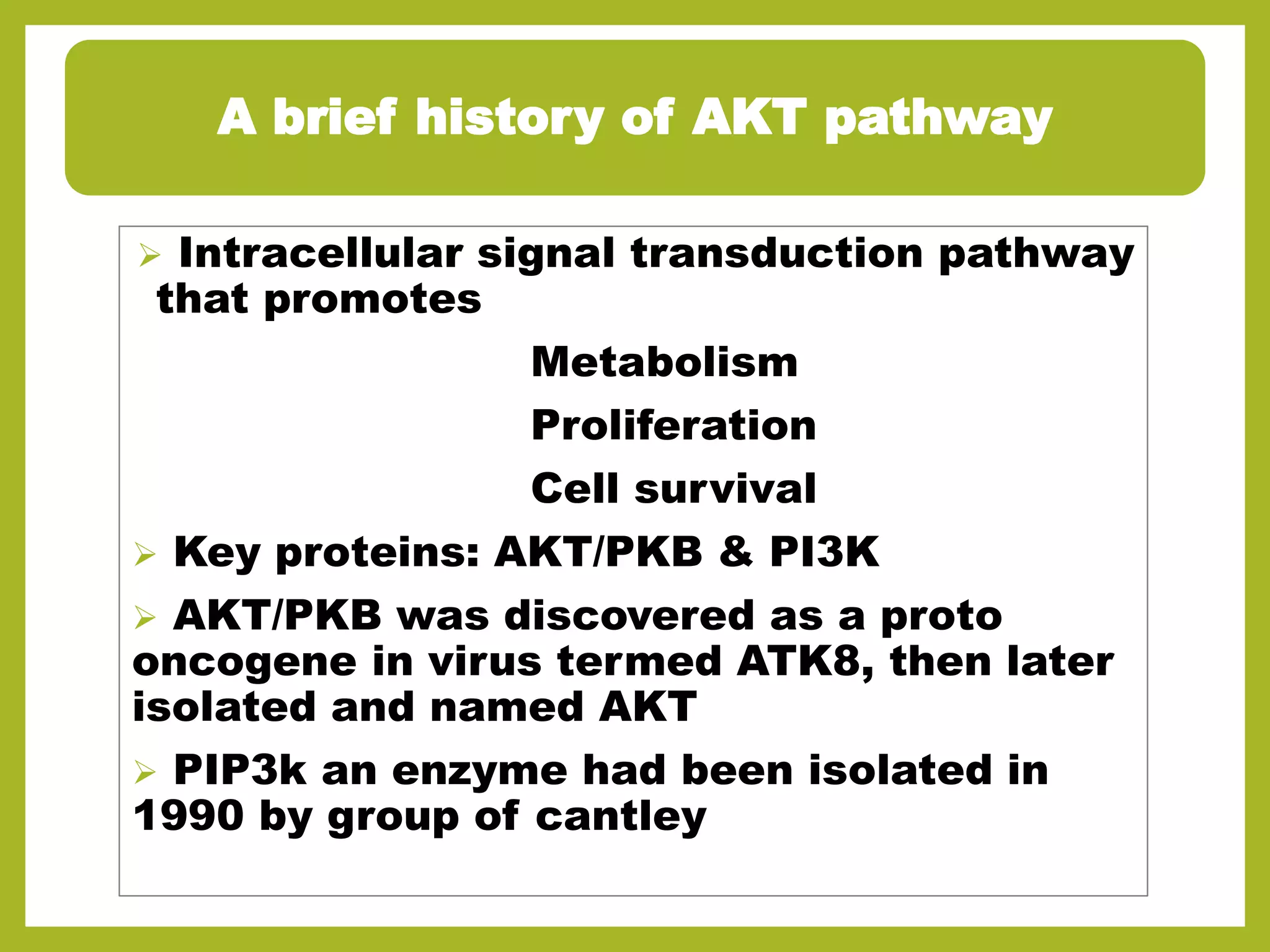AKT/PKB SIGNALING PATHWAY | PPTX
