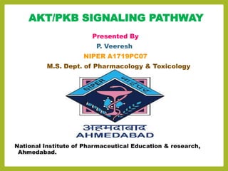 AKT/PKB SIGNALING PATHWAY | PPTX