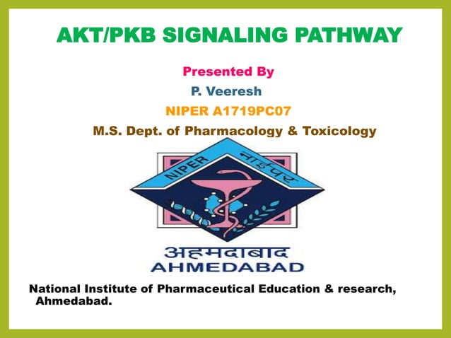 AKT/PKB SIGNALING PATHWAY | PPTX | Endocrine and Metabolic Diseases | Diseases and Conditions