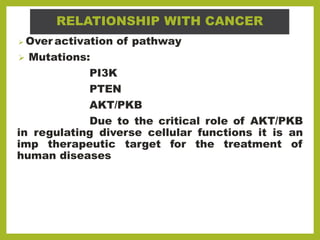 AKT/PKB SIGNALING PATHWAY | PPTX