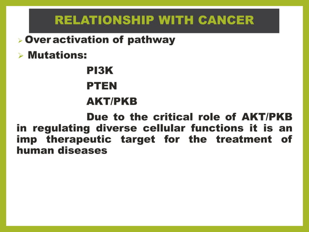 AKT/PKB SIGNALING PATHWAY | PPTX | Endocrine and Metabolic Diseases | Diseases and Conditions