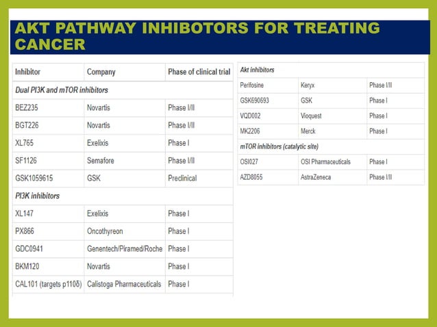 AKT/PKB SIGNALING PATHWAY | PPTX | Endocrine and Metabolic Diseases | Diseases and Conditions