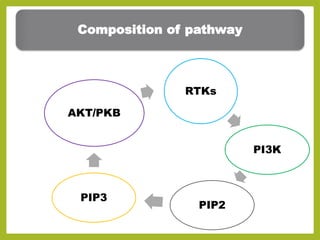 AKT/PKB SIGNALING PATHWAY | PPTX