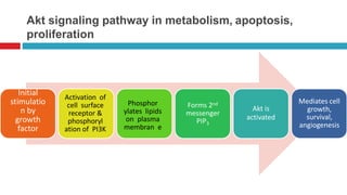 Akt protein kinase b | PPTX