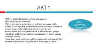 Akt protein kinase b | PPTX