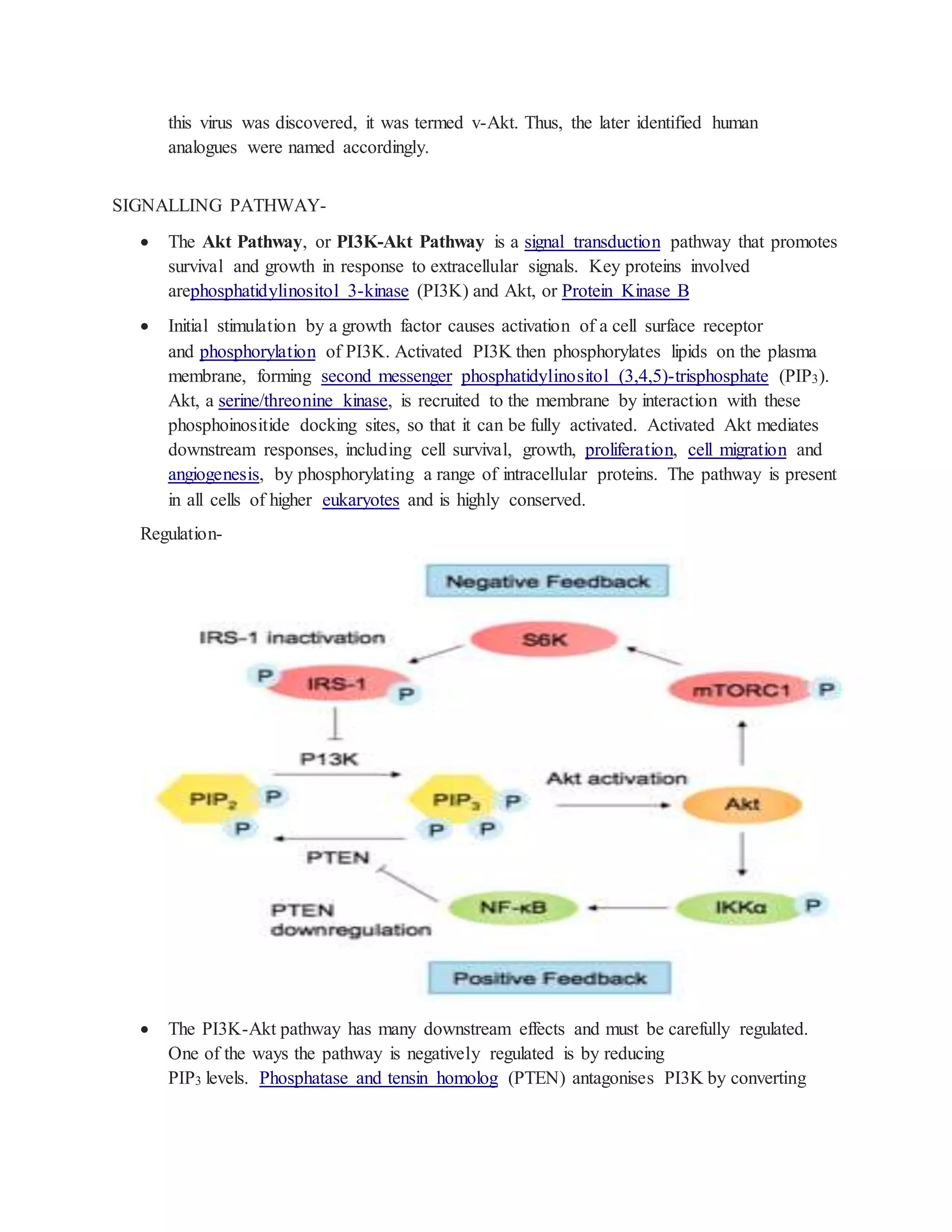 Akt/ Protein kinase B | DOCX