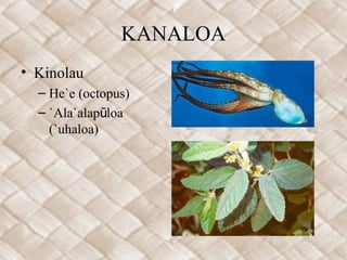 Akua | PPT