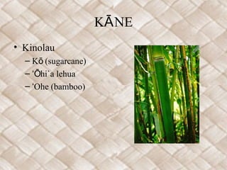 Akua | PPT