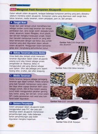 Akuaponik | PDF