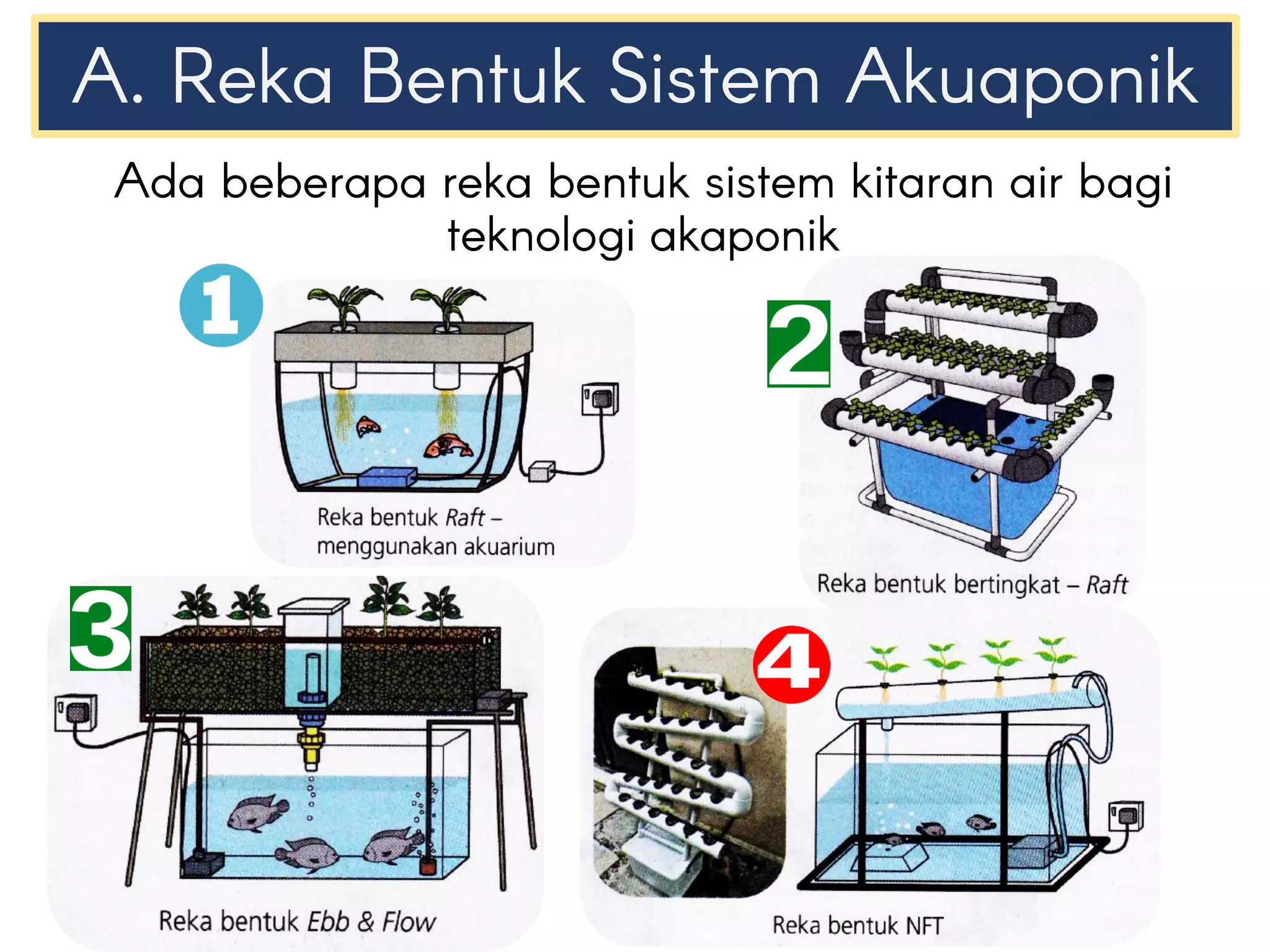 Reka Bentuk Akuaponik | PDF