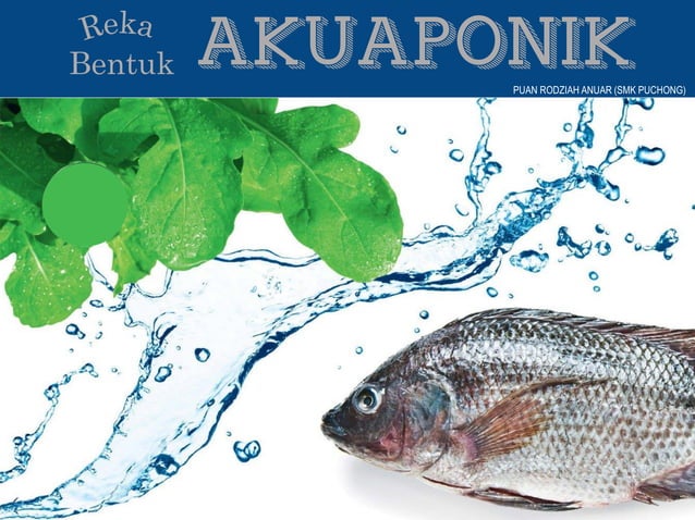 Reka Bentuk Akuaponik | PDF