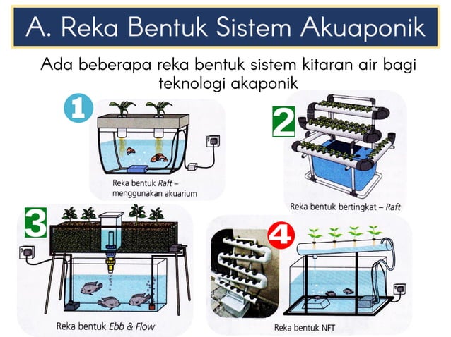 Reka Bentuk Akuaponik | PDF