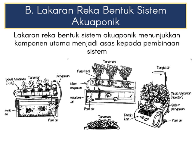 Reka Bentuk Akuaponik | PDF