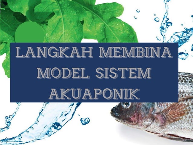 Reka Bentuk Akuaponik | PDF