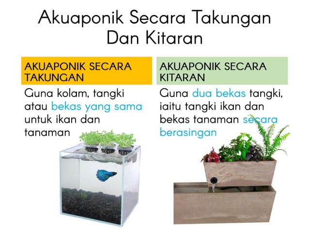 Reka Bentuk Akuaponik | PDF