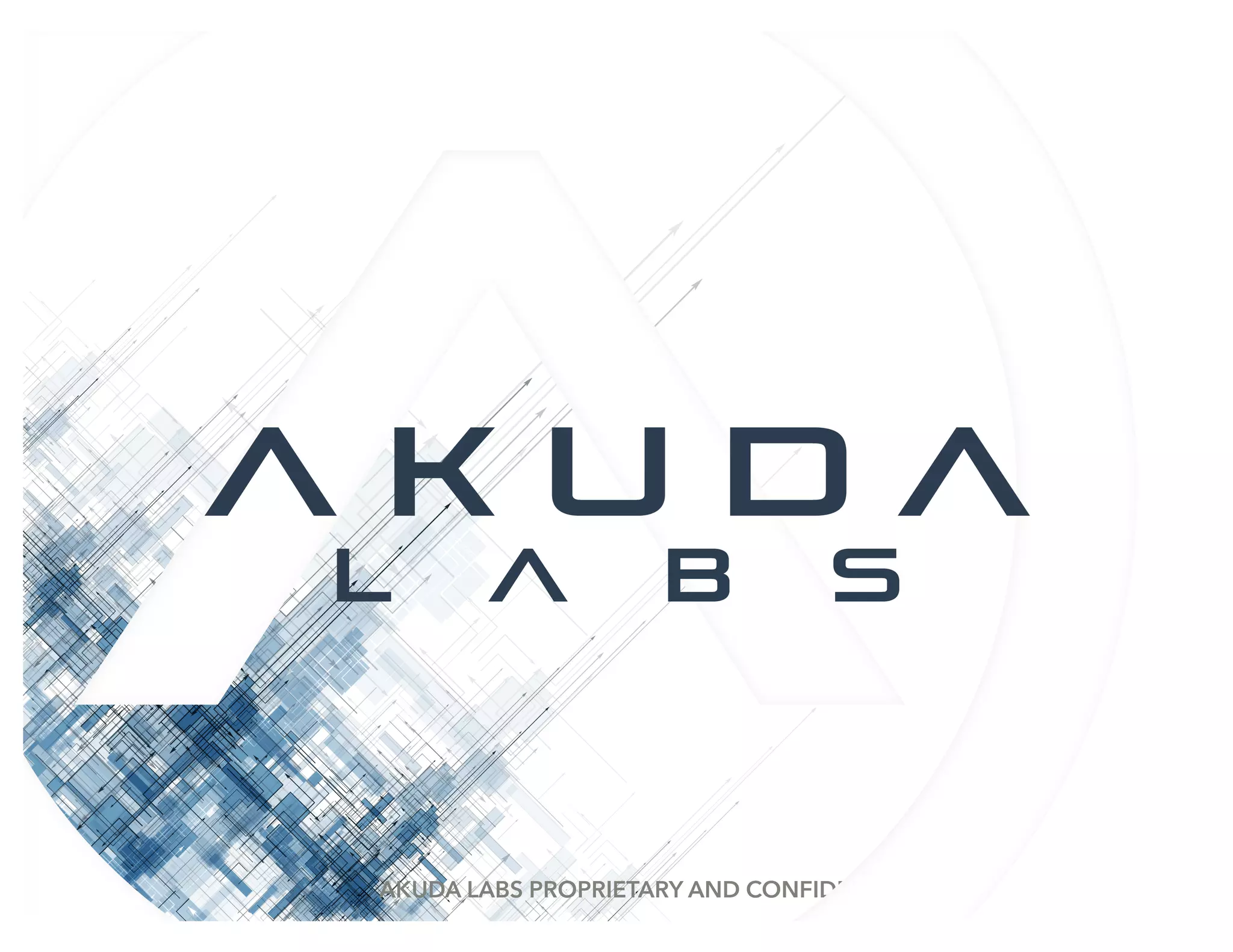 AKUDA Labs: Pulsar | PPT