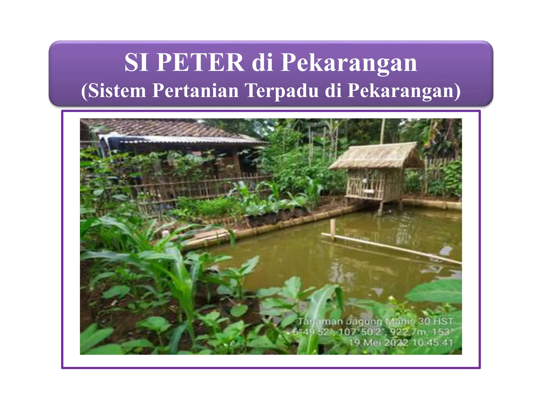 AKU HATINYA PKK.pptx