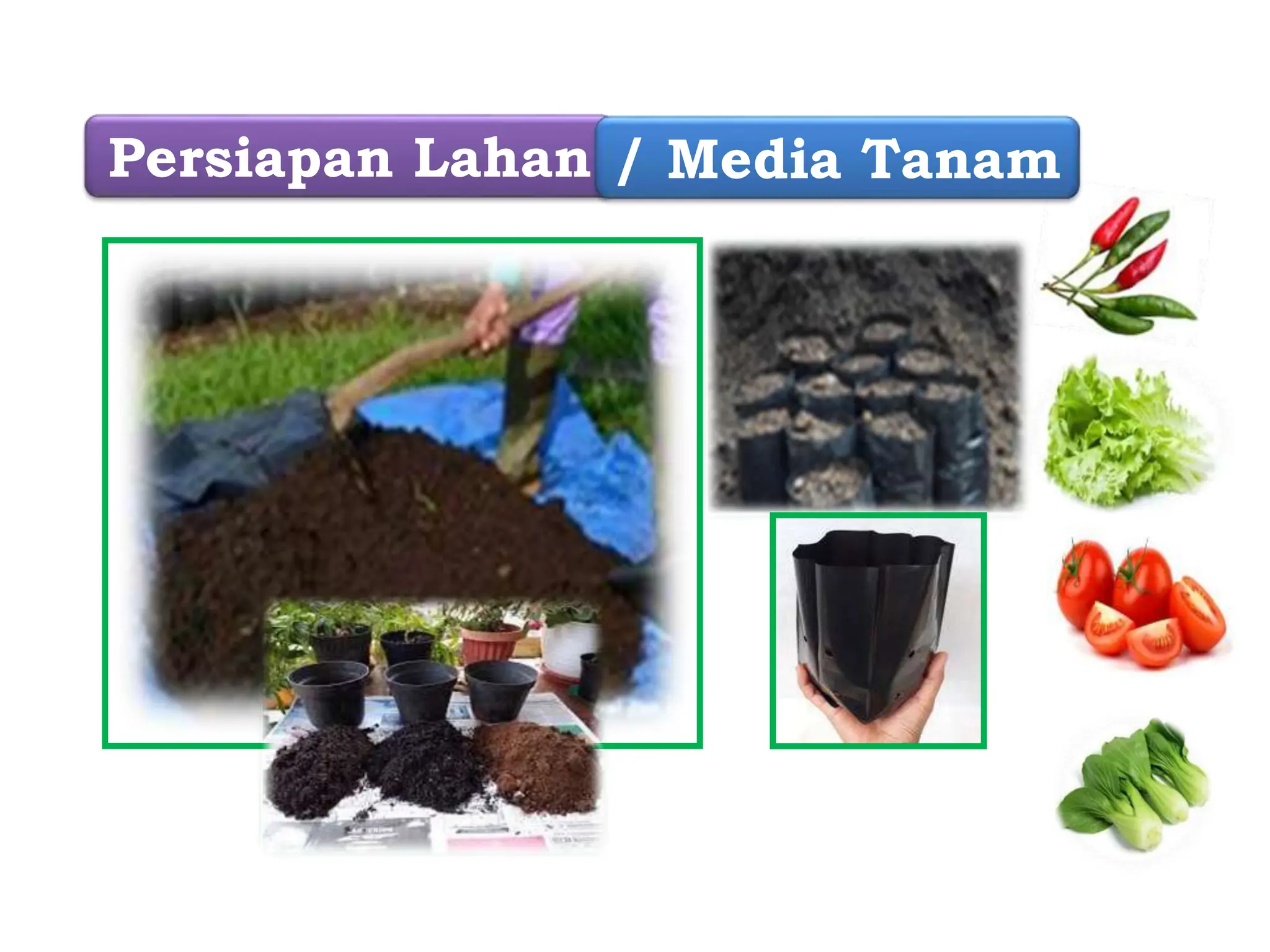 AKU HATINYA PKK.pptx