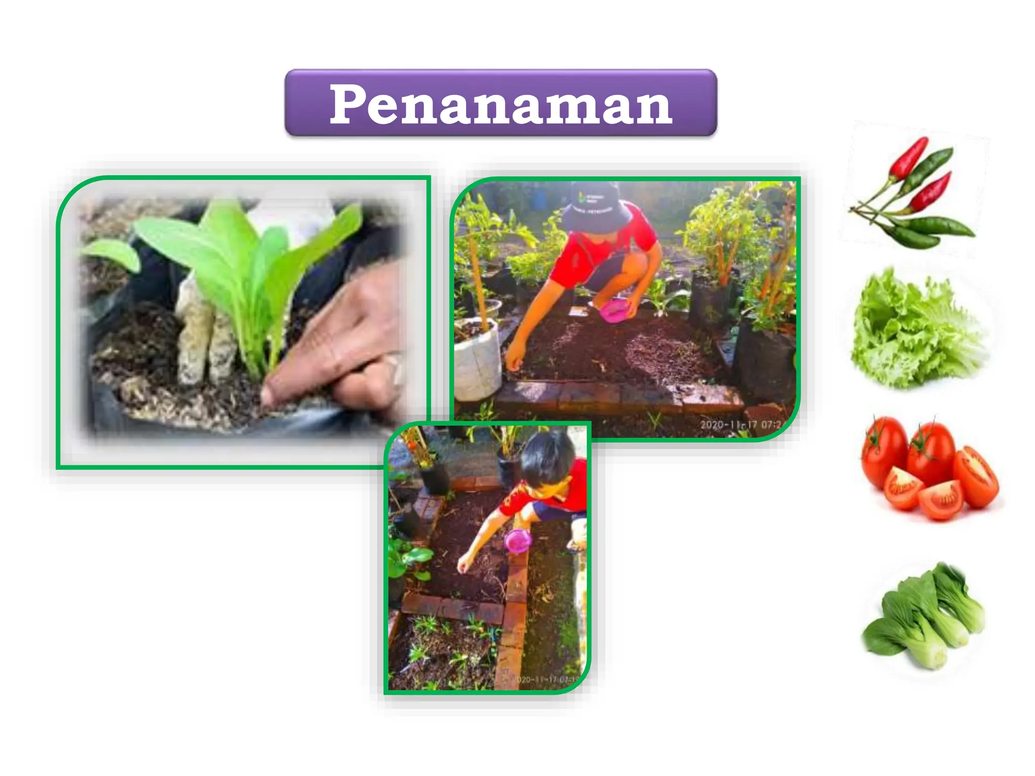 AKU HATINYA PKK.pptx