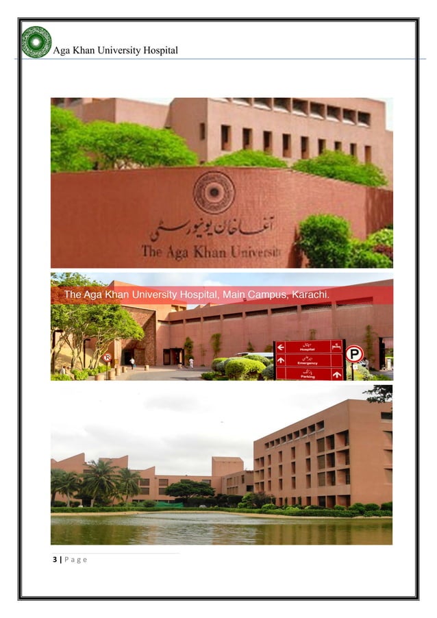 Akuh final report | PDF | Healthcare Industry | Industries