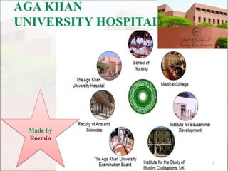 Akuh report ppt | PDF