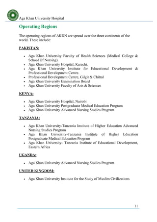 Aku magement report | PDF