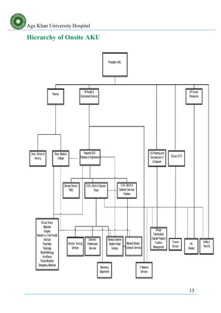 Aku magement report | PDF