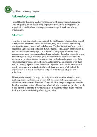 Aku magement report | PDF
