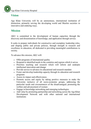 Aku magement report | PDF