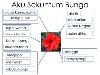 Aku sekuntum bunga_raya | PPT
