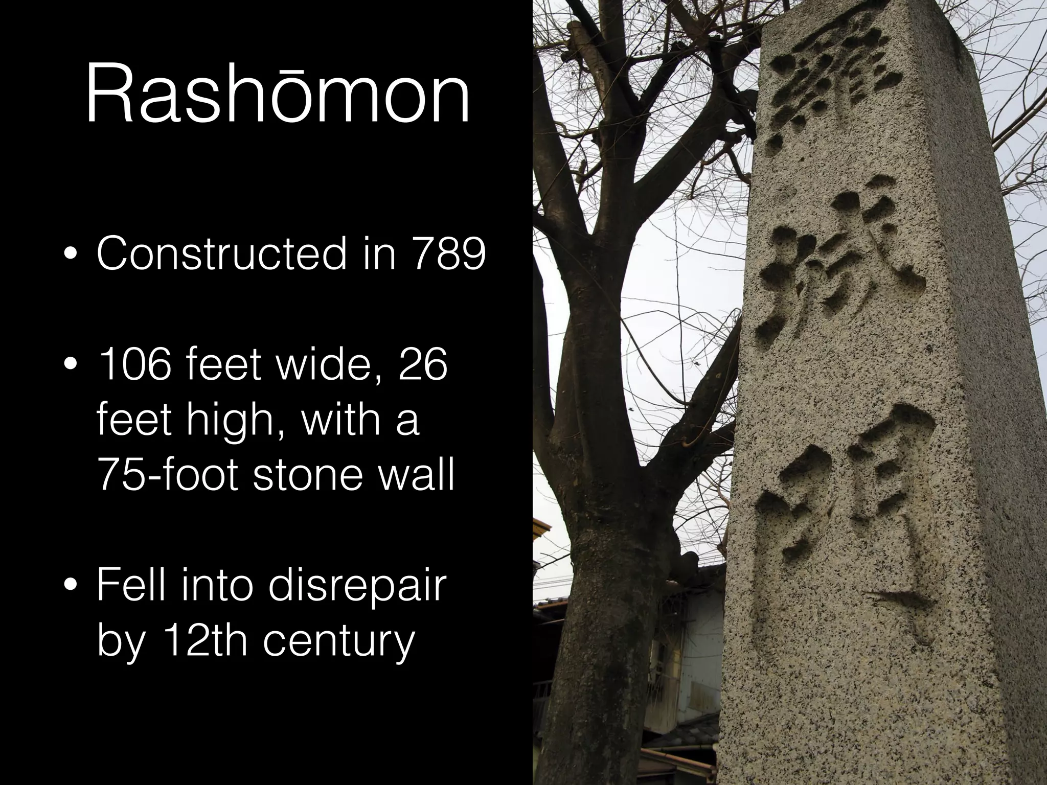 Rashomon Effect | PDF