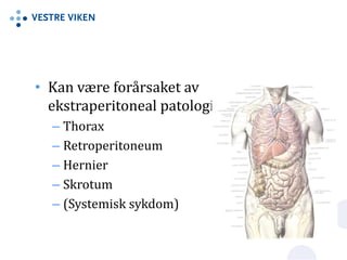 Akutt abdomen | PDF