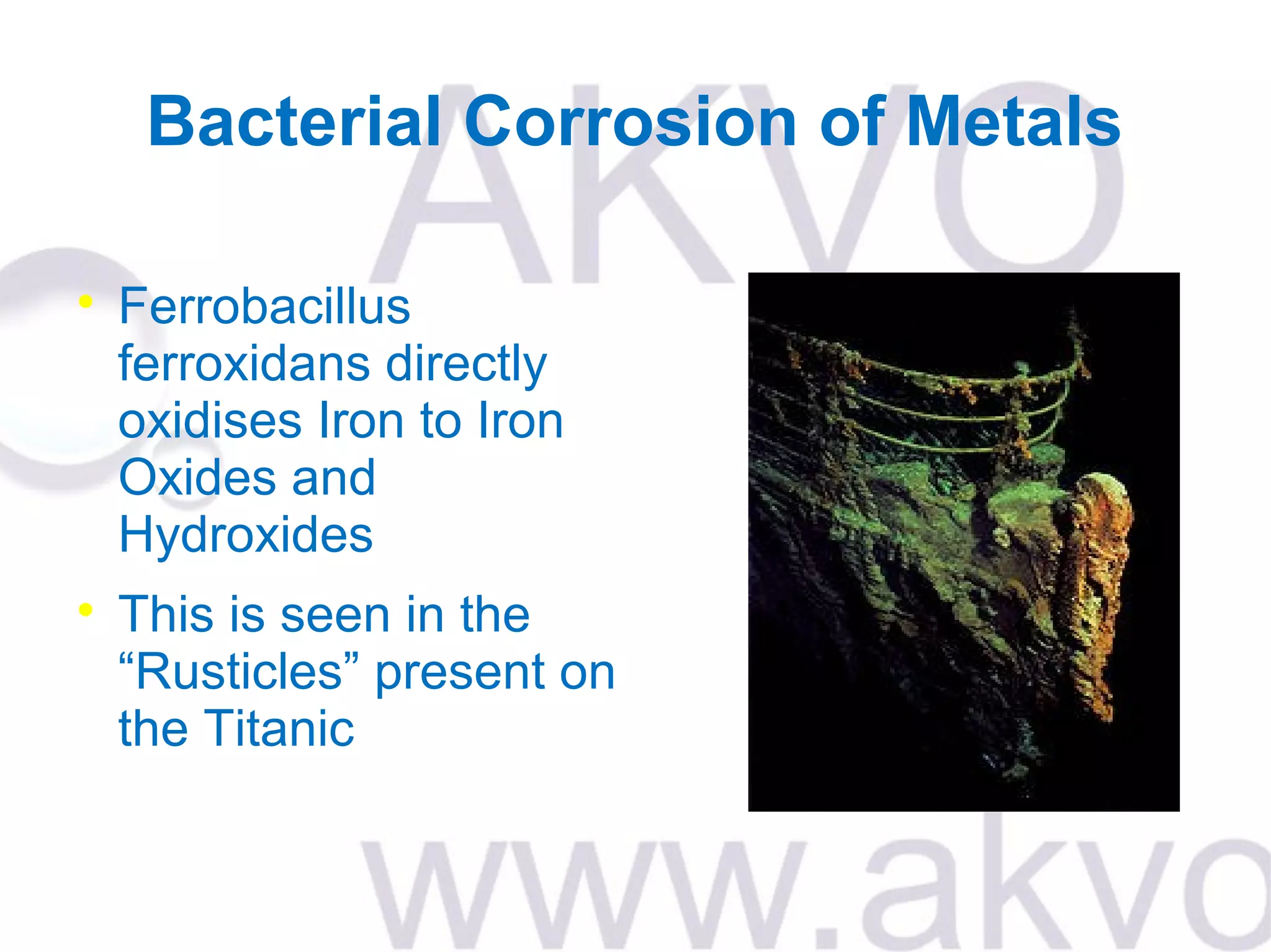 Akvo - basic microbiology & bacterial metal corrosion | PPT