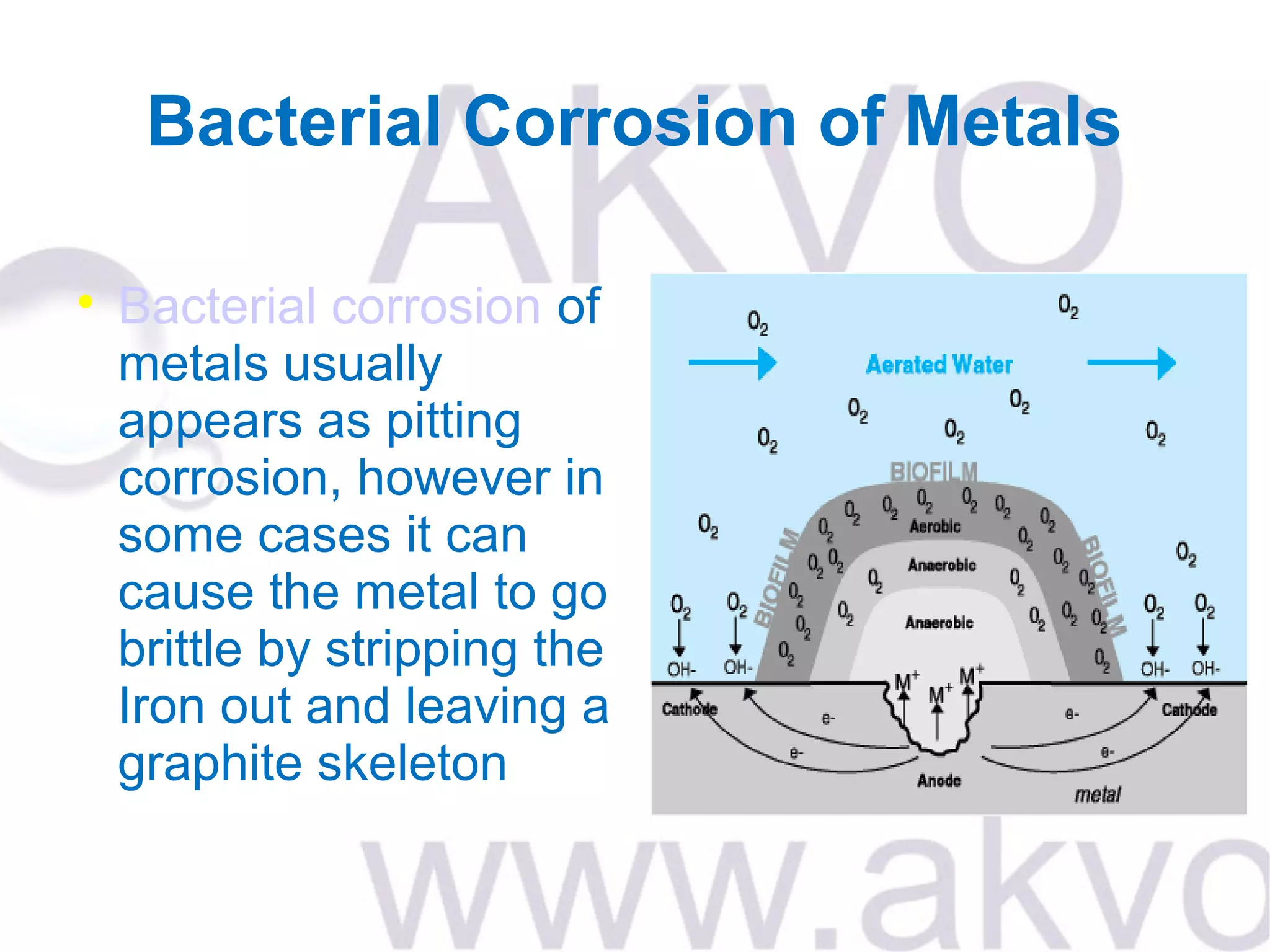 Akvo - basic microbiology & bacterial metal corrosion | PPT
