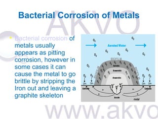 Akvo - basic microbiology & bacterial metal corrosion | PPT