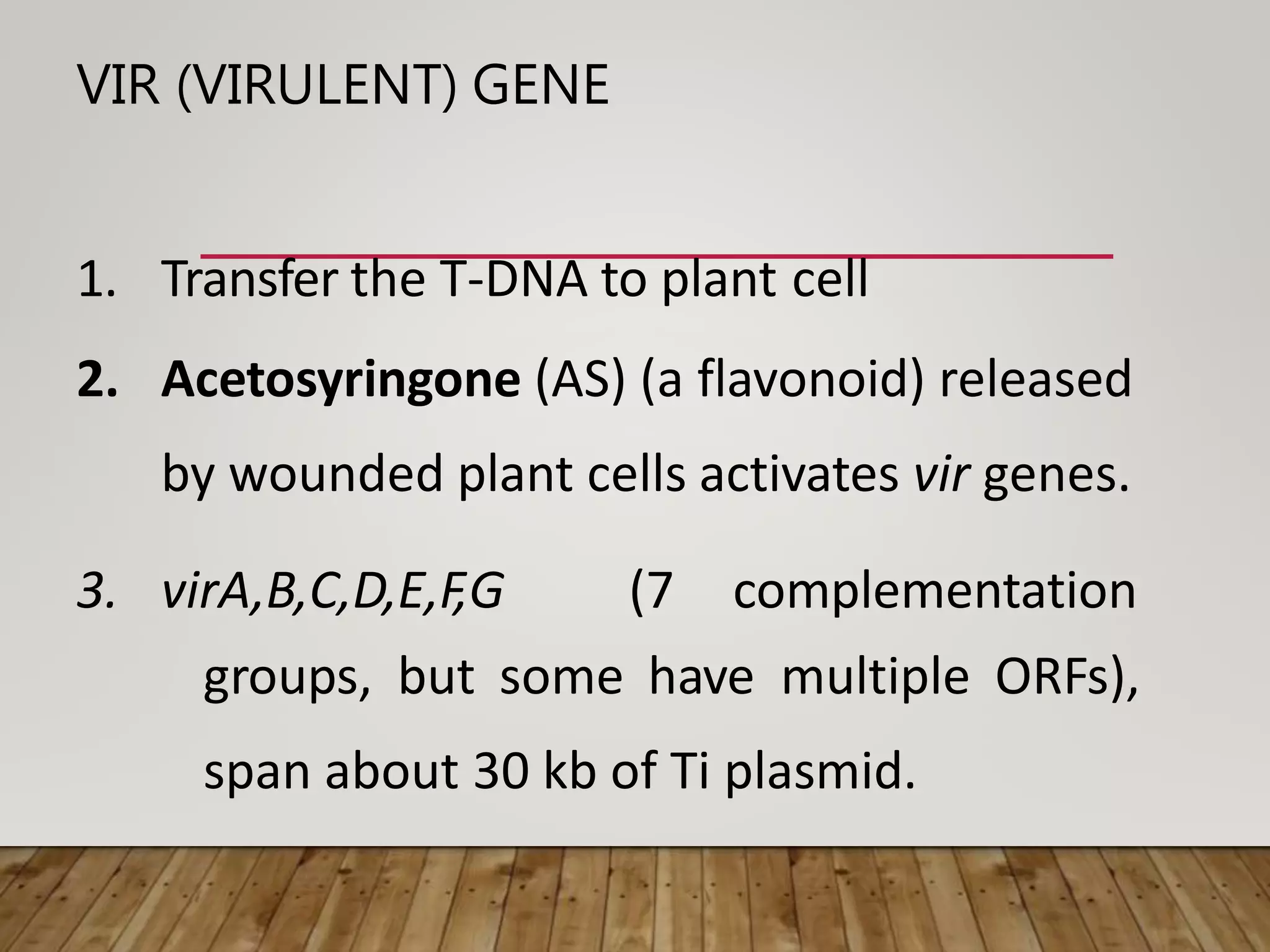 agrobacterium | PPTX