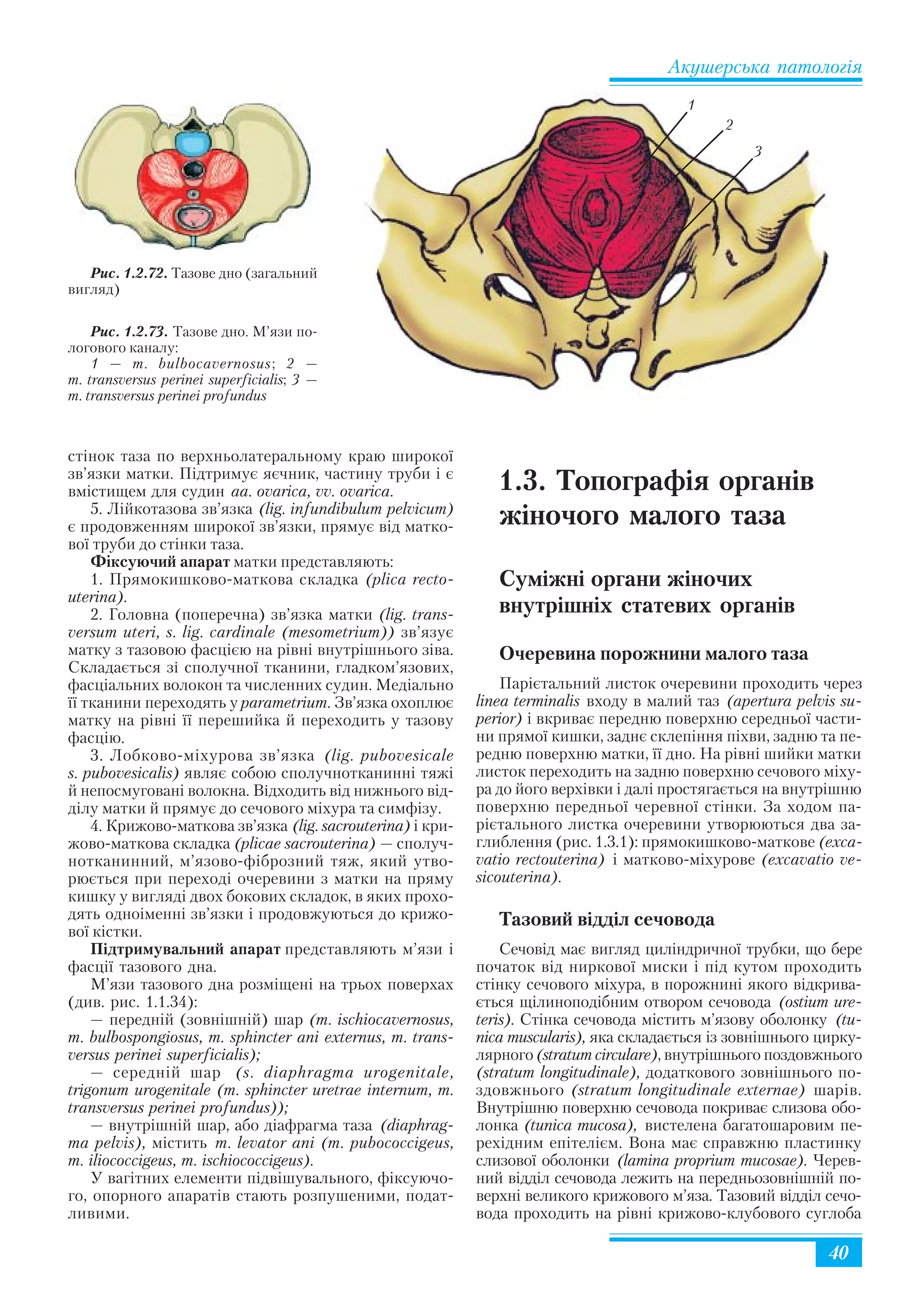 Akywerckaya patologiya | PDF