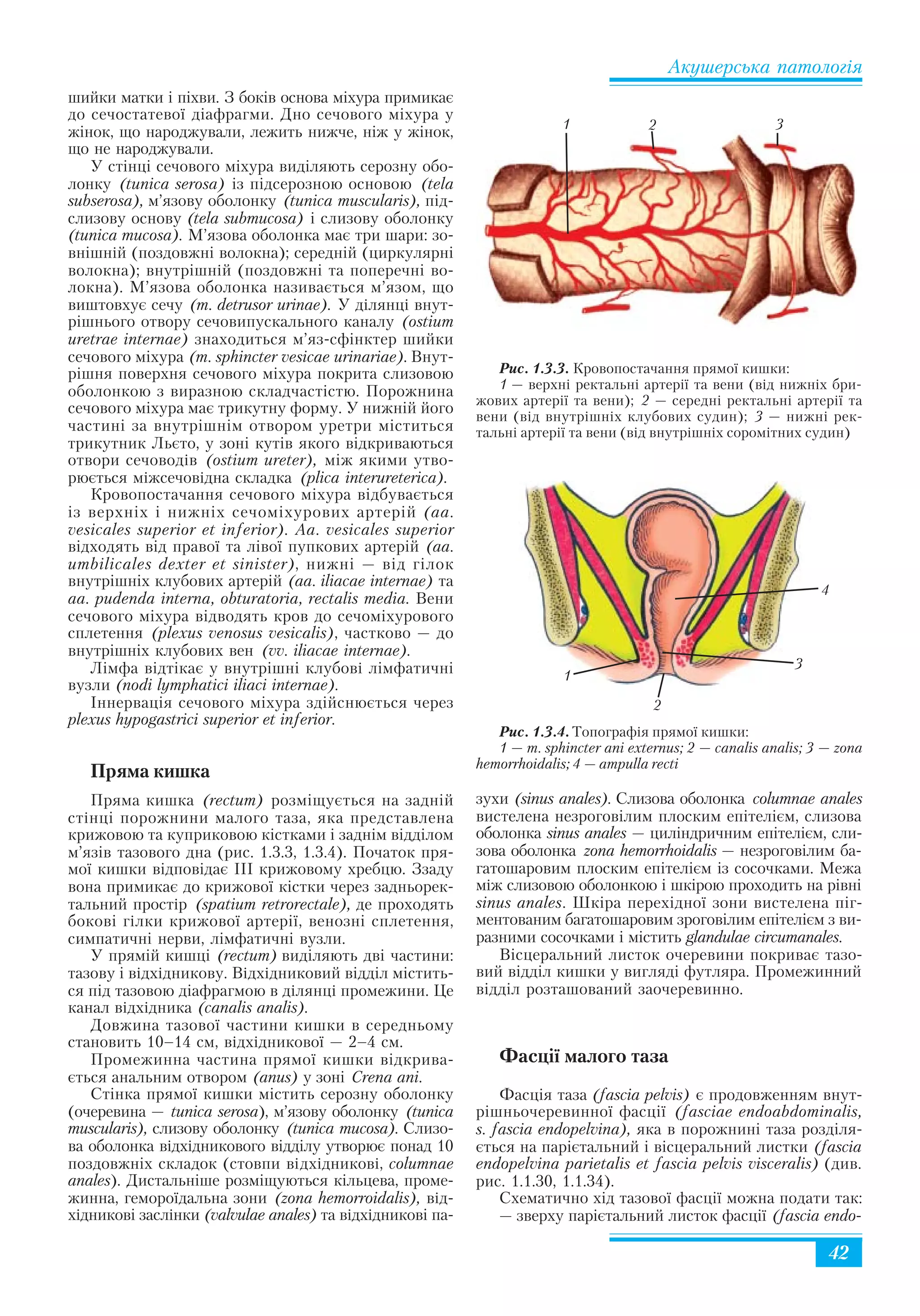 Akywerckaya patologiya | PDF