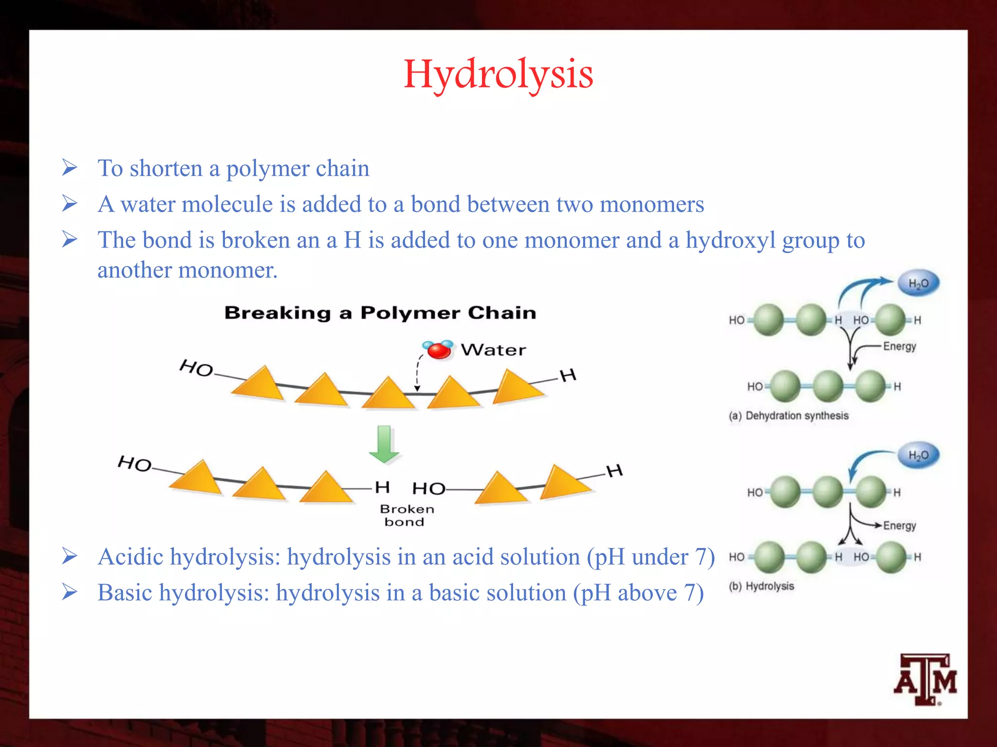 Acidic and Alkaline Hydrolysis of Polyacrylamide | PDF