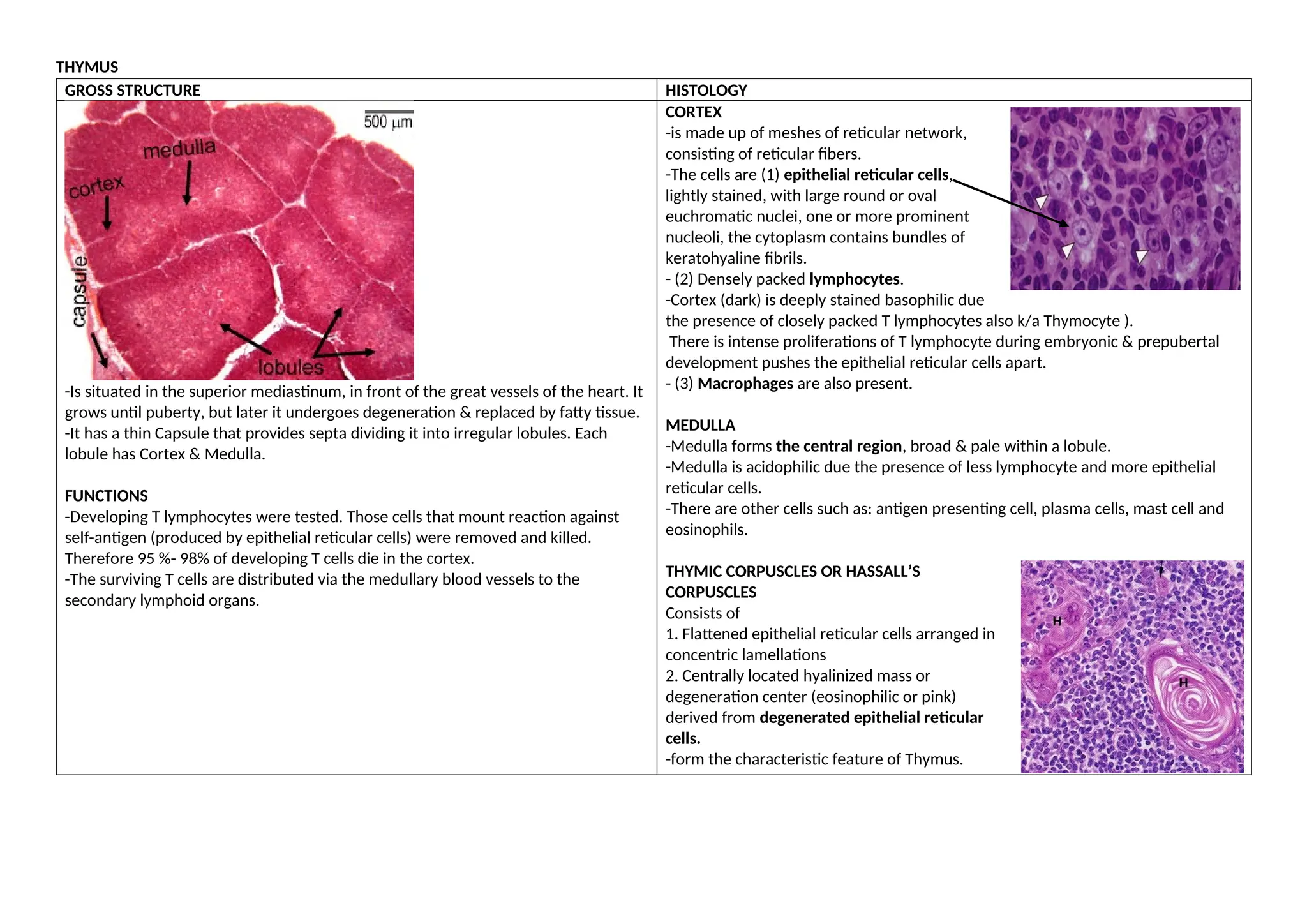 LYMPHATICS HISTOLOGY, LYMPHATICS HISTOLOGY | DOCX