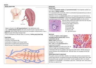 LYMPHATICS HISTOLOGY, LYMPHATICS HISTOLOGY | DOCX