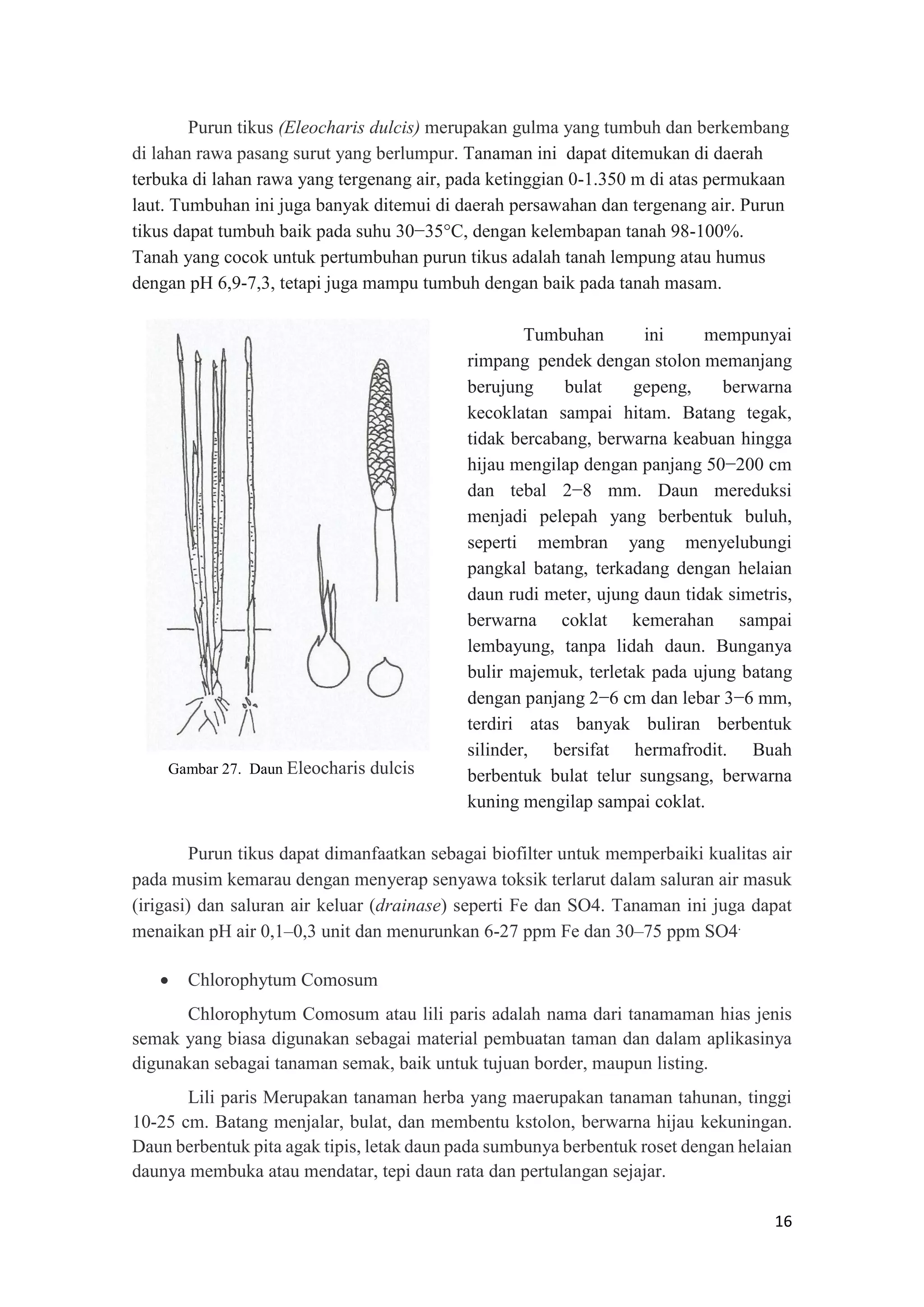 (Al5103) deskripsi tanaman syarifah nisa | PDF