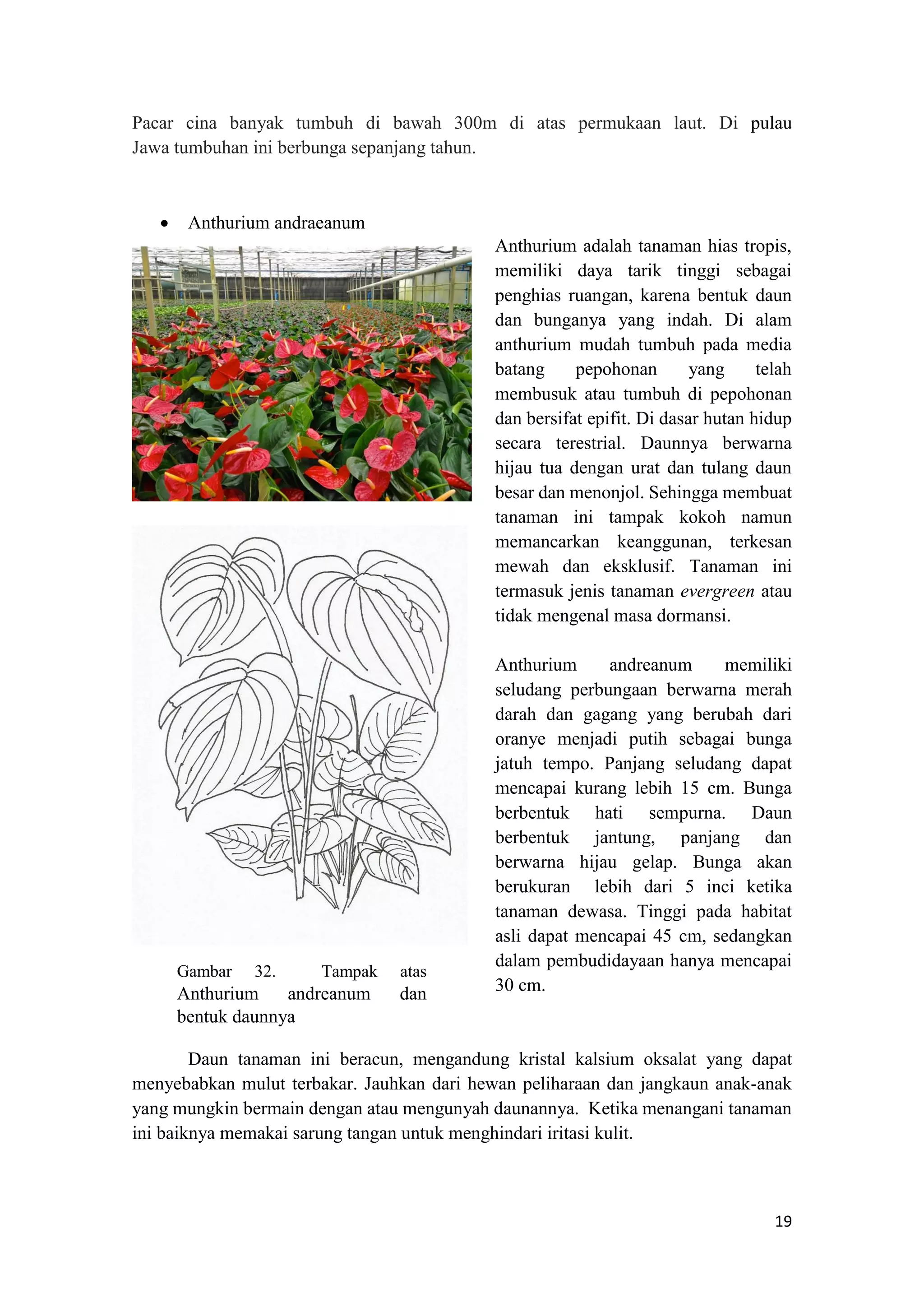 (Al5103) deskripsi tanaman syarifah nisa | PDF