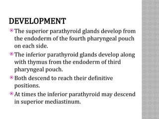 A,L5 Parathyroid and suprarenal glands .pptx