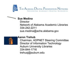 NAAL Statewide Digitization Program | PPT