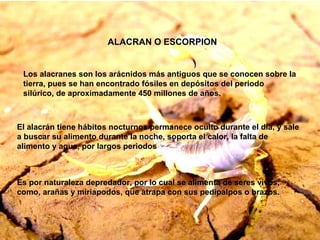 Alacran | PPT