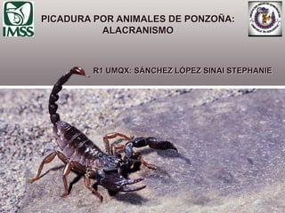 ALACRANISMOtratamiento, fisiopatologia, epidemiologia e incidencia | PPTX