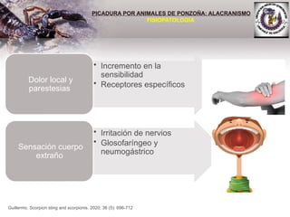 ALACRANISMOtratamiento, fisiopatologia, epidemiologia e incidencia | PPTX